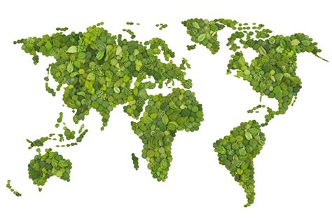 Mapa Do Mundo Verde Mapa Isolado Do Mundo Mapa Do Mundo Verde Foto