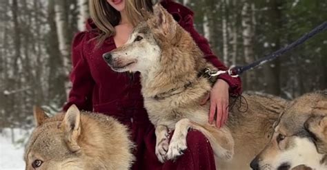 Wolf Gets Licky At Riding Hood Photoshoot Sharedots