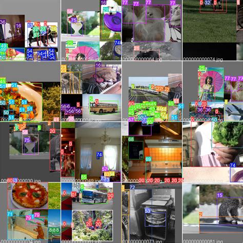 Dataloader Shuffling Bug With Multiple Workers · Issue 4960