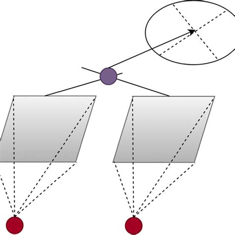 Schematic Diagram Of Triangulation Download Scientific Diagram