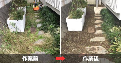 【処分や罰金も！？】雑草を放置するとどうなるか？トラブルと雑草駆除方法 Kusakaroo｜くさかるー