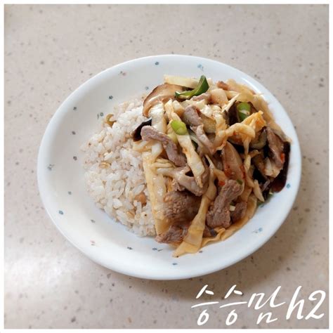 돼지고기 가지 덮밥 레시피 돼지고기 양배추 볶음