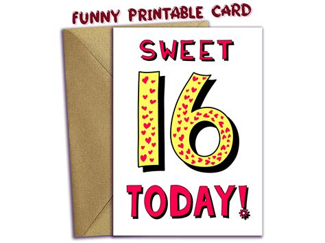 Funny 16th Birthday Card Instant Download Printable Card For Sixteenth