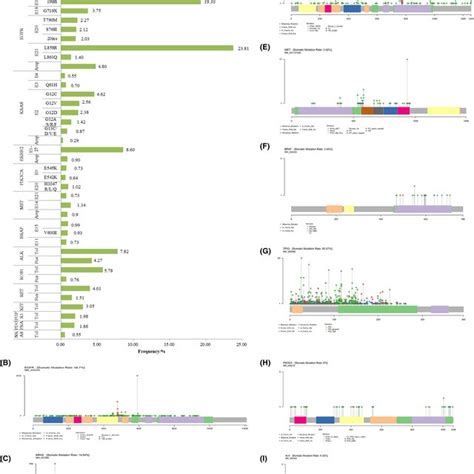 Somatic Alteration Frequencies Of 14 Cancer‐related Genes A The Main Download Scientific