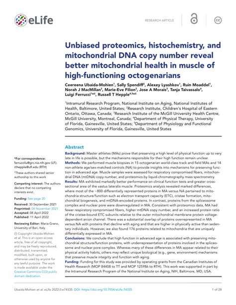 Pdf Unbiased Proteomics Histochemistry And Mitochondrial Dna Copy