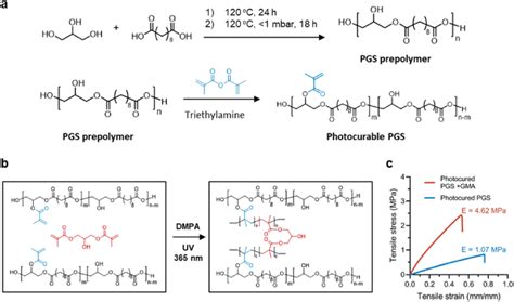 Synthesis And Characterization Of The Photocurable Pgs Prepolymer And