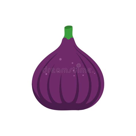 Purple Fig Fruit Illustration With Green Stem Vector Graphic Design