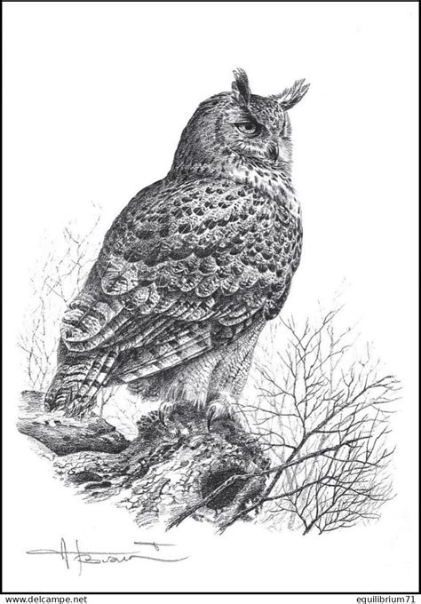1985 Birds Buzin Dessin Signétekening Getekend Hibou Grand Ducgrote Gehoornde Uil