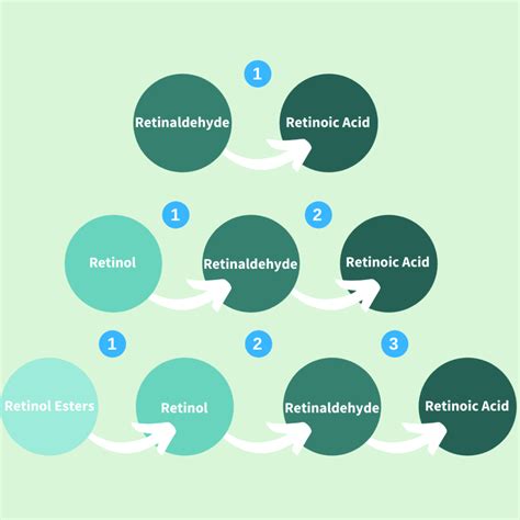 Retinoid Cheat Sheet With Skinchemy Guide To Retinoids In Skincare