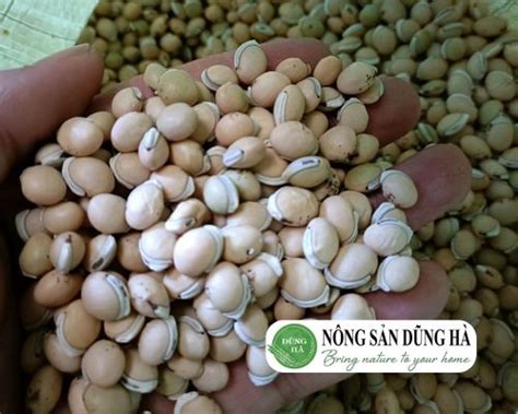 Đậu Ván Trắng Khô Loại 1 Thuần Chủng Đã Cà Sạch Vỏ