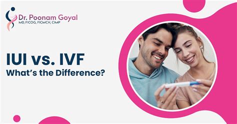 Iui Vs Ivf Whats The Difference