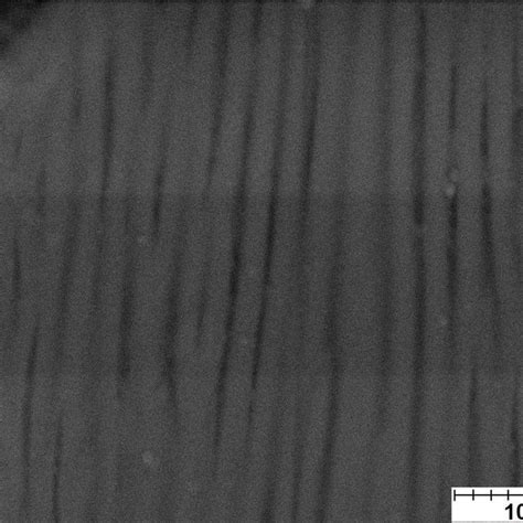 Sem Micrograph Cross Section Of Nanostructure Of The Coatings A