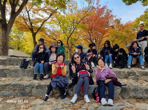 노인맞춤돌봄 어르신과 함께 하는 즐거운 가을나들이 활동갤러리 안중소규모요양시설 성신은빛마을