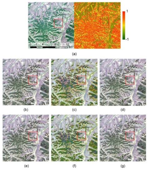 Remote Sensing Special Issue Advances In Remote Sensing Image Fusion