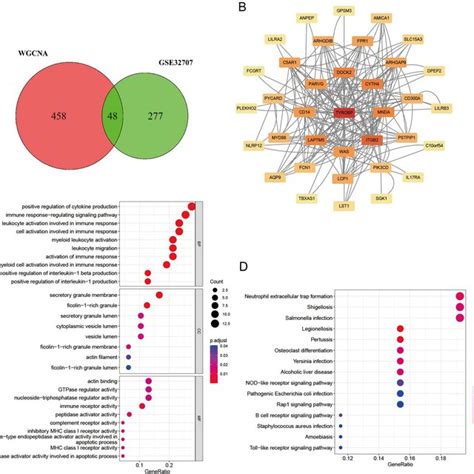 Screening Of Macrophage Related Differentially Expressed Genes And PPI