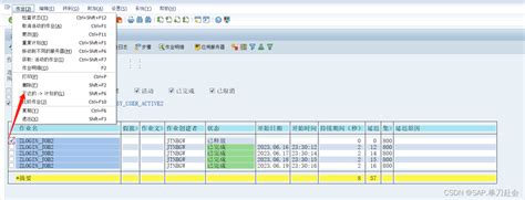 Sap：后台任务与程序的关联，后台定时任务暂停，删除任务sap 后台任务 Csdn博客