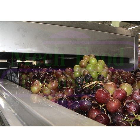 Processing Line For Fruit And Vegetable Mechfood