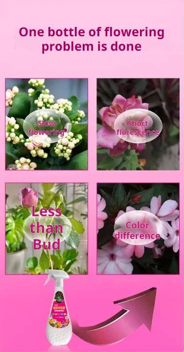 Quick Acting Flowering Hormone 300ml Old Garden Shop