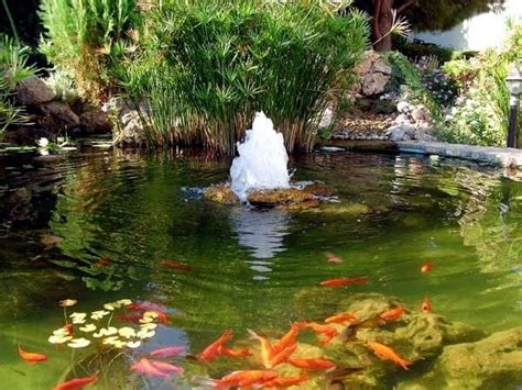 Koi Pond Design Ideas Add A Japanese Garden Feature To Your Landscape