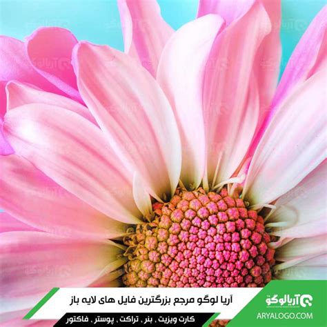 عکس گل با کیفیت 4k کد 161 آریا لوگو مرجع فایل های لایه باز