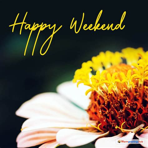 Happy Long Weekend Wishes