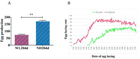 Analysis Of Egg Production Of Different Breeds Of Hens A Comparison