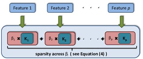 Illustration Of Mkl For Feature Selection Each Feature Constructs A Download Scientific