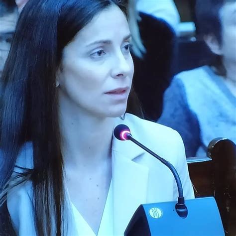 German Summaries Infobae