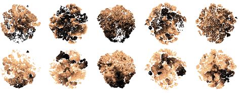 Funsy Functional Systems Dynamics Team