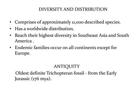 Classification Of Insects PPTX Birdwatching Hobbies Interests