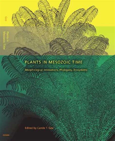 Plants In Mesozoic Time Morphological Innovations Phylogeny