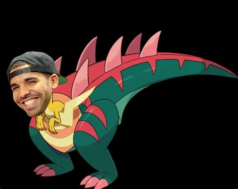 Fossilized Drake Pokemonswordandshield