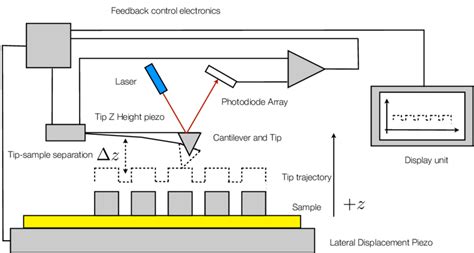 11 Schematic Of Afm Operation Download Scientific Diagram