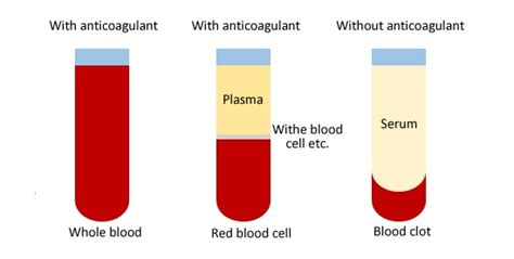 Niyet etmek tüketim En sonunda blood plasma and serum difference Eko