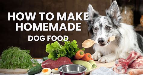 How To Make Homemade Dog Food Dogs Naturally