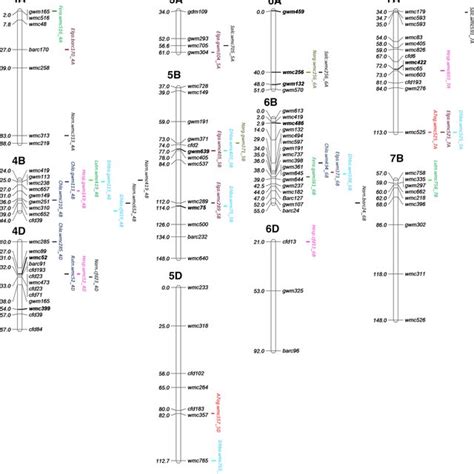 Population Structure Population Structure Clustering Of 100 Indian Download Scientific Diagram