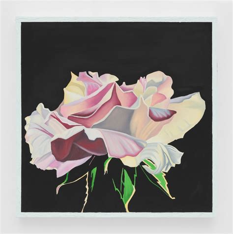 Alec Egan Interviews News And Reports Ocula