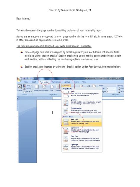 PDF Page Numbering Guideline DOKUMEN TIPS