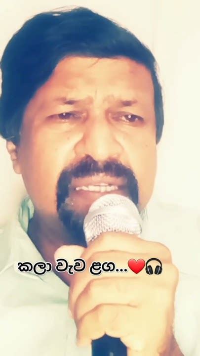 කලා වැව ළග ඉලුක් හෙවනක ️🎧 Youtube