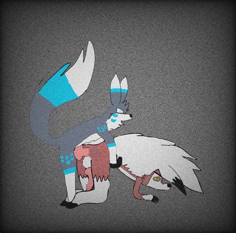 Rule 34 Anal Animal Genitalia Animal Penis Canine Genitalia Canine