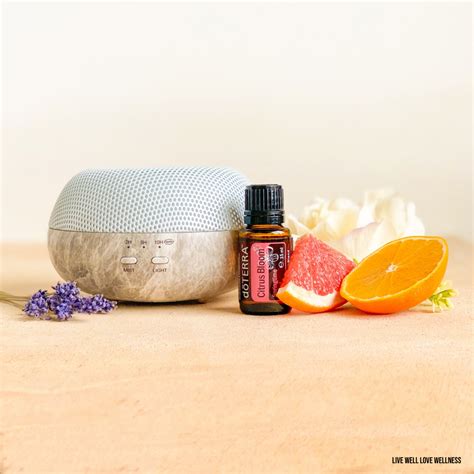 Citrus Bloom Diffuser Blends Live Well Love Wellness