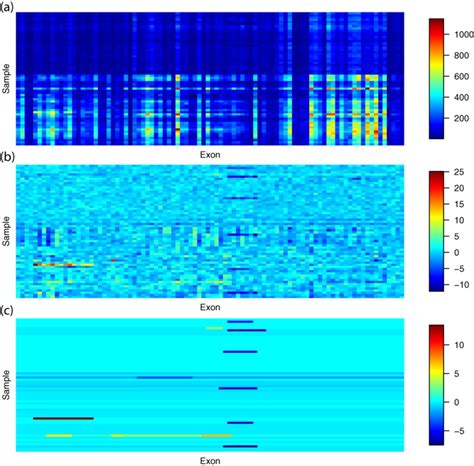 Heatmaps Of Raw Normalized And Segmented Wes Read Depth Data From The