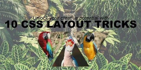 10 Incredible CSS Tricks To Transform Your Web Layouts Web Layout