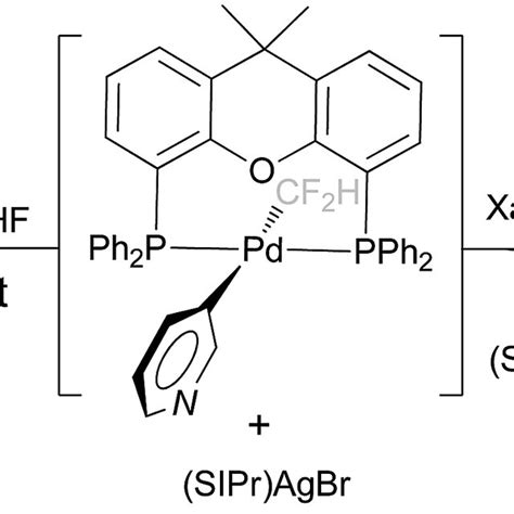 Stoichiometric Reaction Of Complex [ Xantphos Pd 3 Py Br ] 1 With Download Scientific Diagram