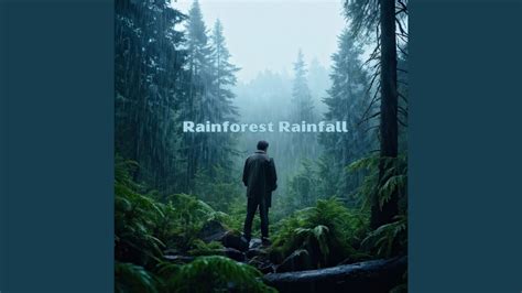 Rainfall Reverie Dreamy Showers For Restful Nights Youtube