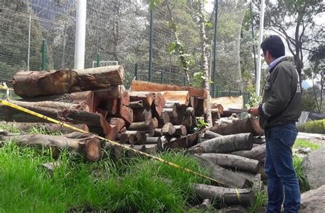 Distrito Cierra Obras De Universidades Javeriana Y Central Por Violaci