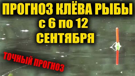 Прогноз клева рыбы на неделю с 6 по 12 Сентября Календарь клева рыбы Календарь рыбака на
