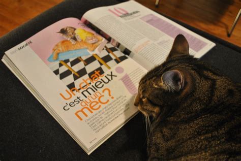 Aristide Le Blog Du Félin Urbain Biba Décembre Chat Versus Mec 1