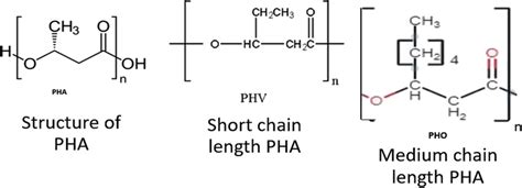 Different Structures Of Pha Molecules Where ‘n Accounts For Degree Of