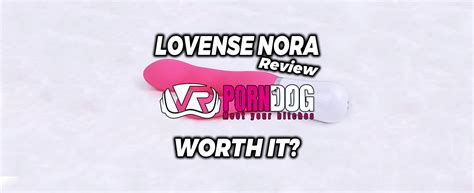 Lovense Nora The Best Rabbit Style G Spot Vibrator In 2024